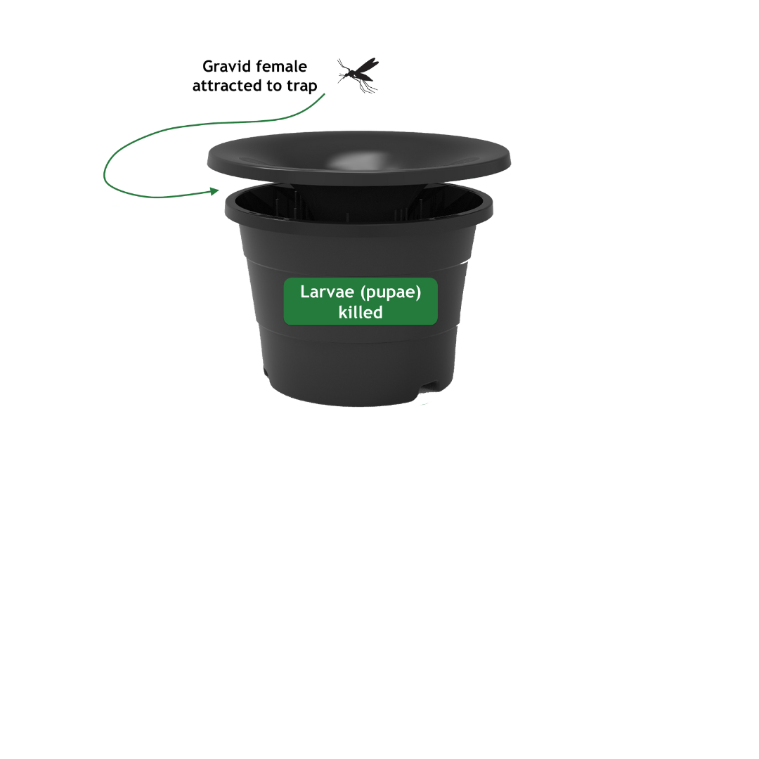 Rentokil Mosquito Control l In2care Traps