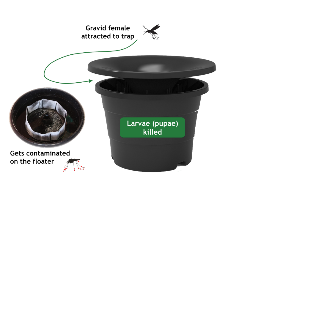 Rentokil Mosquito Control l In2care Traps