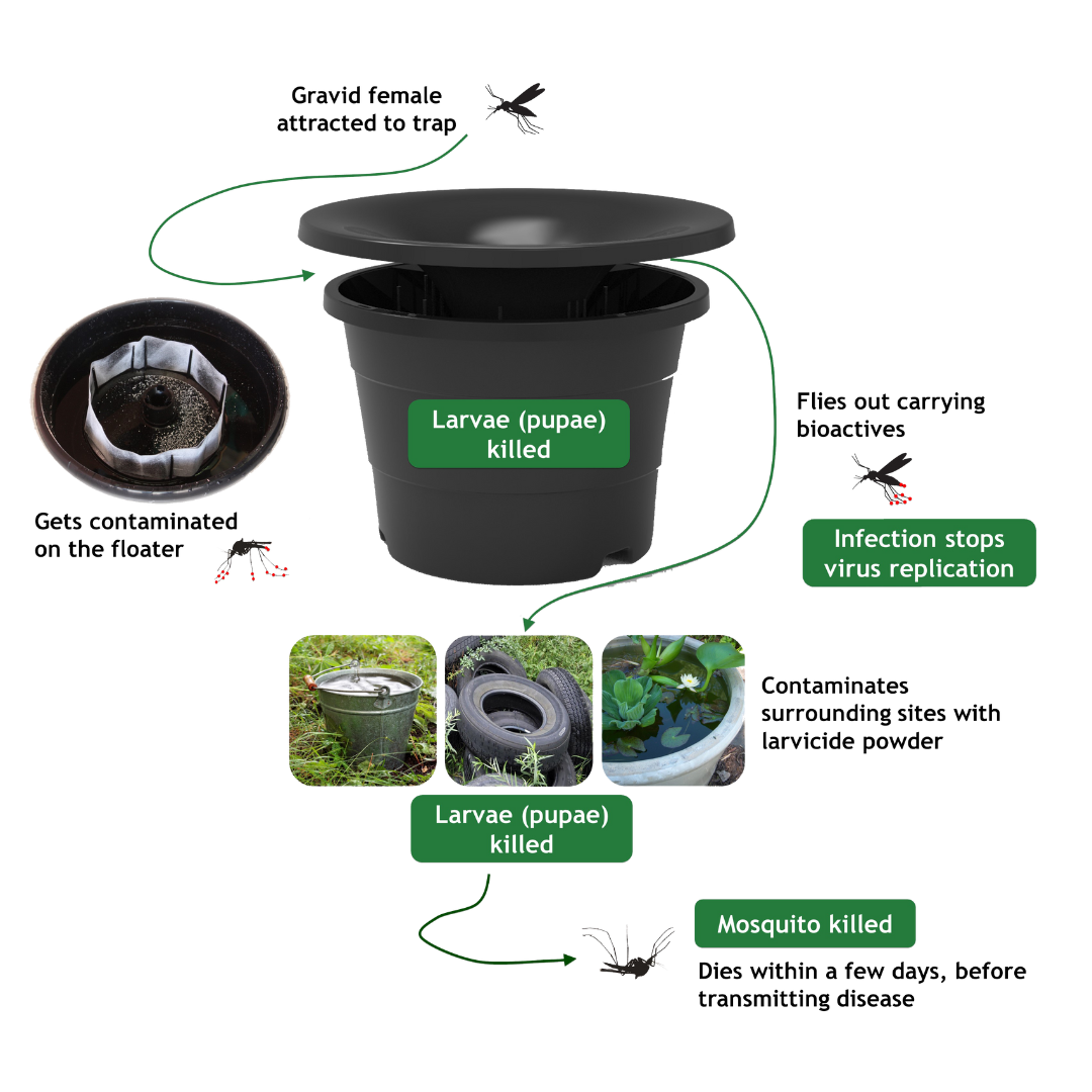 Rentokil Mosquito Control l In2care Traps