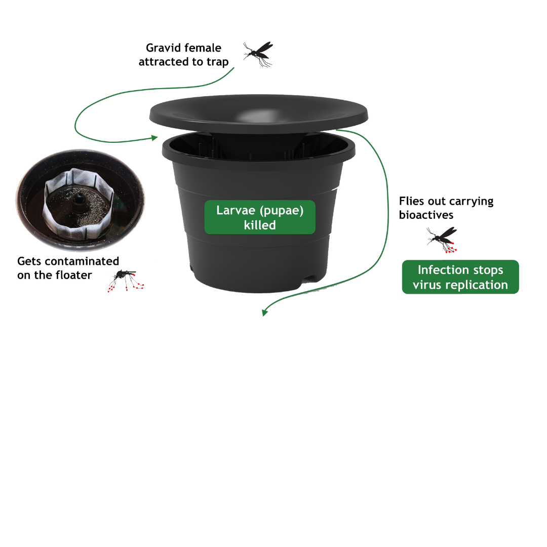 Rentokil Mosquito Control l In2care Traps